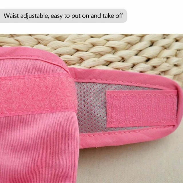 WASHABLE FEMALE PET Dog Cat Nappy Diaper Physiological Pants Panties ...