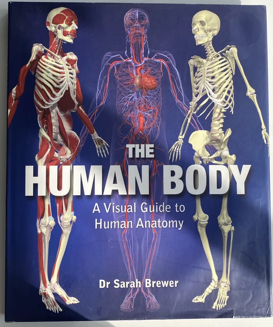 THE HUMAN BODY: A Visual Guide to Human Anatomy, Brewer, Dr Sarah, Used ...