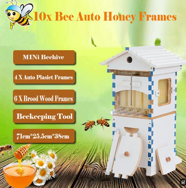 AUTO SEEP BEEHIVE Honey House Beehives Bee Boxes + 10 Beekeeping Bee ...