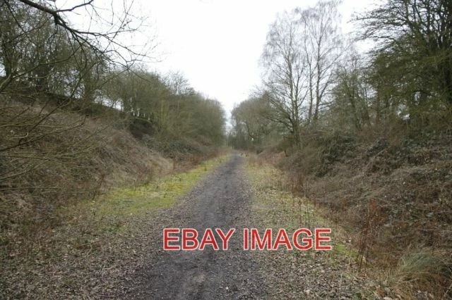 PHOTO PINEWOOD Halt. The Old Cutting Which Is In Hermitage Now Serves ...