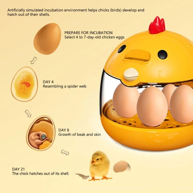 5 EGGS QUAIL Bird Incubator Eggs Hatching Machine for Hatching Small ...