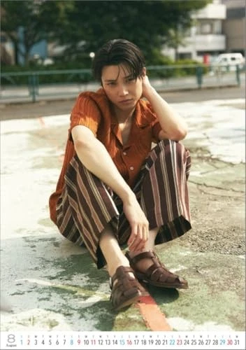 HAGOROMO DESKTOP CALENDAR by Soichi Ito 2026 CL26-0322 $89.42 - PicClick CA