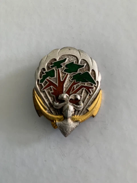 INSIGNE MILITAIRE ,PARA,PARACHUTISTE,1ER RIAOM EUR 15,00 - PicClick FR