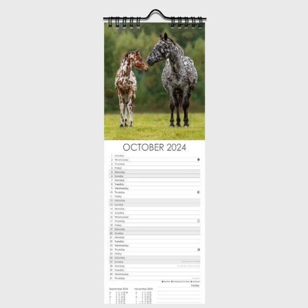 THE U. 2024 wall Calendar Horses & Ponies $52.33 - PicClick CA