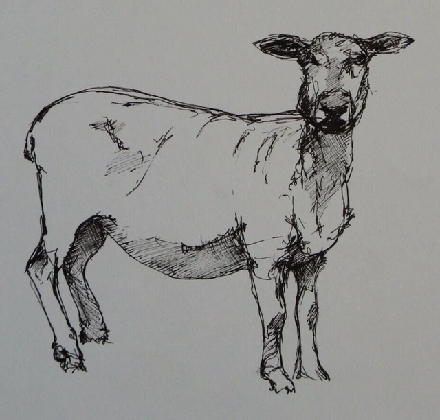 ORIGINAL SIGNED SMALL pen & ink linear drawing sheep on paper £29.99 ...