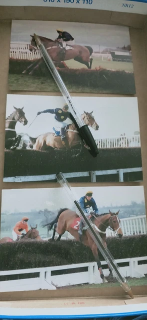 RARE WINNIE THE Witch Racehorse Original press photos x3 £10.00 ...