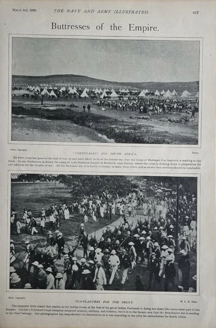 1900 BOER GUERRE Era Imprimé Corps De Bushmen Roderick Australie ...