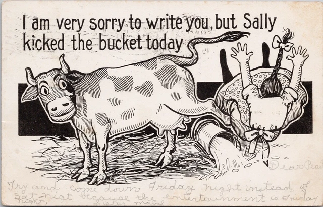 COMIC COW WOMAN Knocked Over Sally Kicked The Bucket c1908 LE West ...