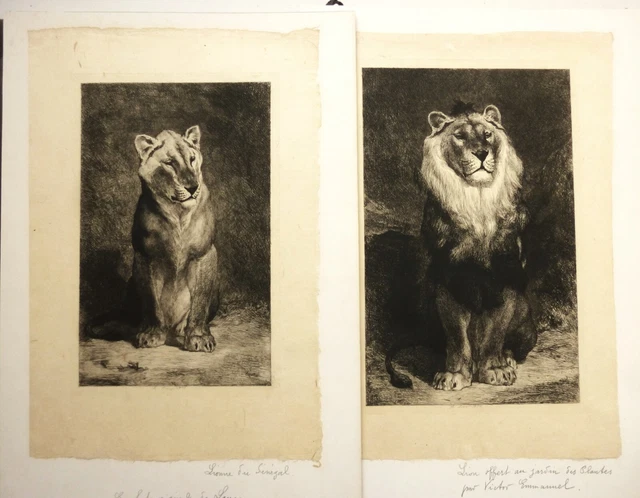 2 GRANDES EAUX-FORTES d’Auguste Lançon. Lions EUR 85,00 - PicClick FR