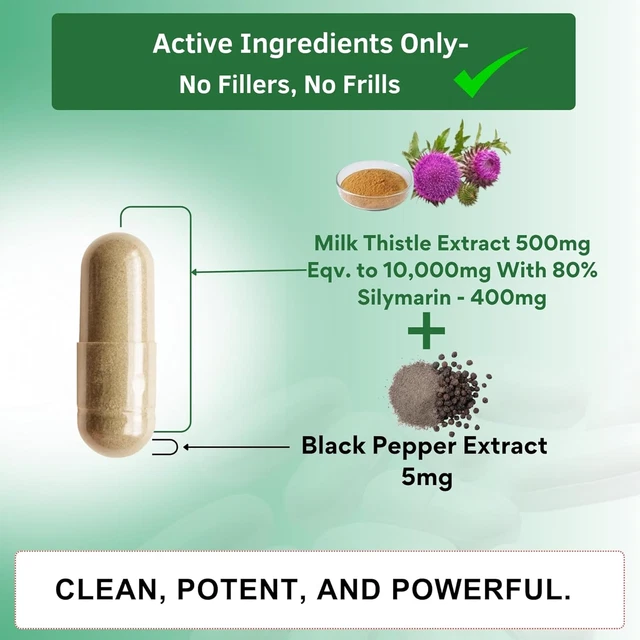 MILK THISTLE HIGH Strength 10000Mg | Market-Leading Silymarin 400Mg per ...