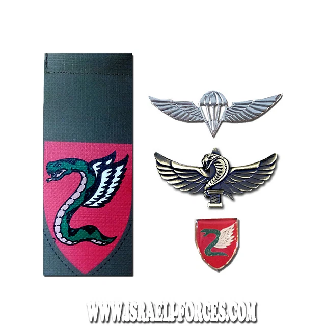 ISRAELI ARMY MILITARY IDF Paratroopers' Parachute Brigade Symbols pins ...