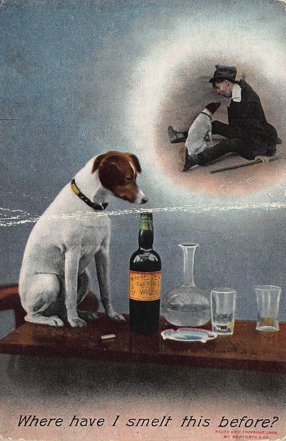 WHERE HAVE I Smelt This Before? Bamforth Comic Humour 1410 Postcard ...