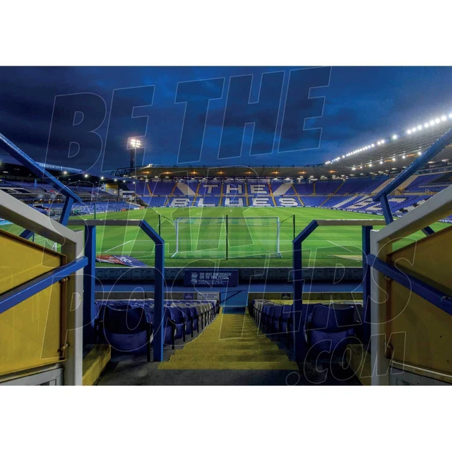 BIRMINGHAM CITY FC Stadium Poster OFFICIALLY LICENSED PRODUCT - FREE UK ...