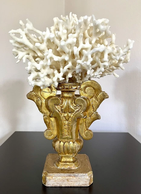 ANCIEN SOCLE EN bois sculpté doré XVIII vase église corail cabinet de ...
