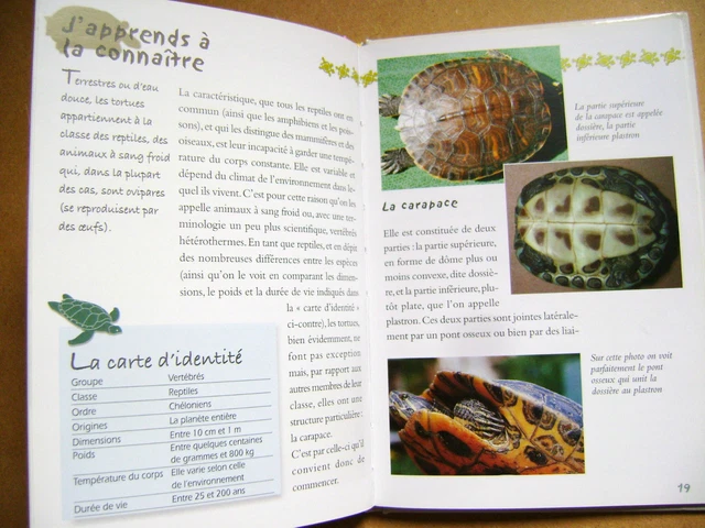 MA TORTUE TOUT ce qu'il faut savoir sur les tortues /R29 EUR 6,00 ...