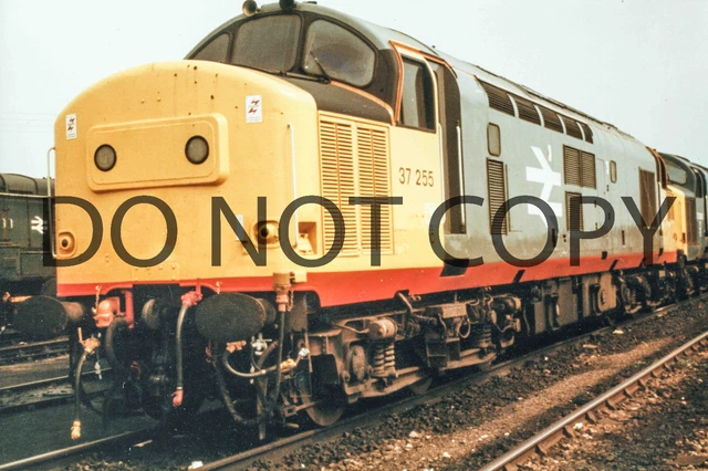 UK DIESEL TRAIN Railway Photograph Of Class 37 Loco 37255. Rm37-887 £1. ...