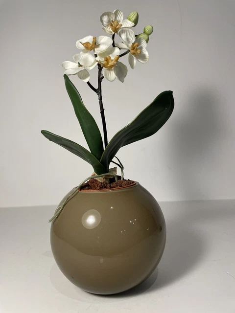 ORCHIDÉE ARTIFICIELLE AVEC cache pot en verre EUR 15,00 - PicClick IT