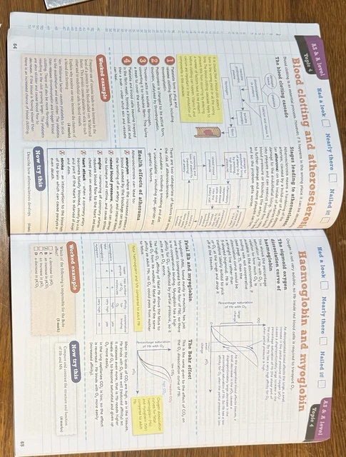 PEARSON EDEXCEL AS/A Level Biology B Revision Guide £5.45 - PicClick UK