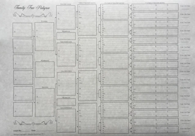 FAMILY TREE CHARTS To Fill In Family Tree Chart Family Tree Poster ...