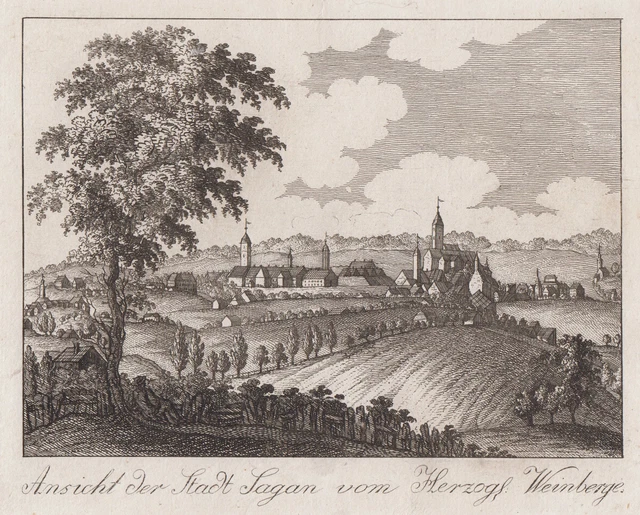 SAGAN ZAGAN ORIGINAL Gravure sur Cuivre Villes Silésie 1820 EUR 264,95 - PicClick FR