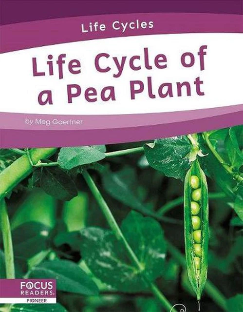 LIFE CYCLES: LIFE Cycle of a Pea Plant by Meg Gaertner (English ...