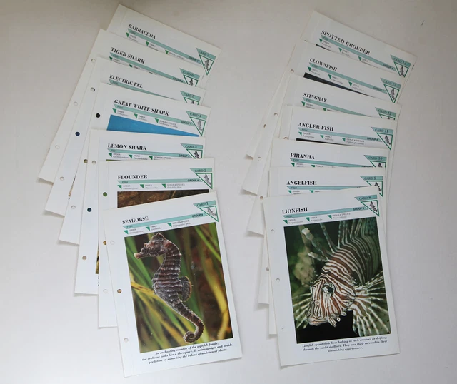 WILDLIFE FACT-FILE FISH - Cards 1 to 14 £1.80 - PicClick UK