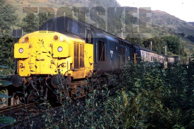 35MM SLIDE BR British Railways Diesel Loco Class 37 37112 Ardlui 1984 ...