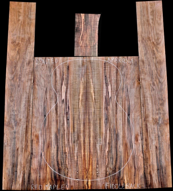 QUARTERSAWN SPALTED AMBROSIA Fiddleback Red Maple Acoustic Guitar Back ...