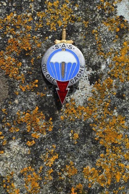 BADGE &&1ST DEMI Brigade SAS"" Paratrooper, TAP £27.72 - PicClick UK