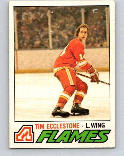 (HCW) 1977-78 O-PEE-CHEE #364 Tim Ecclestone Atlanta Flames V15593 EUR ...