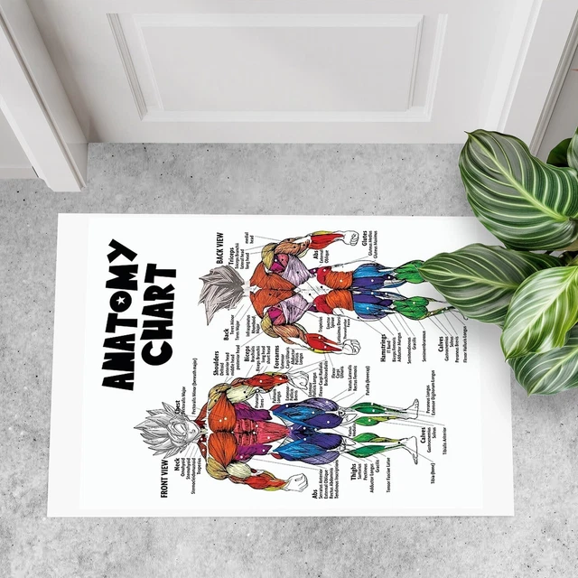 GOKU MUSCLE CHART - Anatomy Diagram - Anime Gym Motivational Doormat £ ...