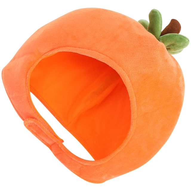 FRUIT COSPLAY HATS Persimmon Headgear Carnival Party Festival £12.99 ...