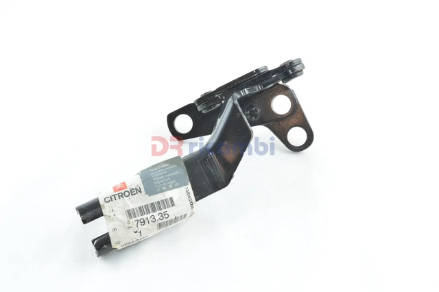 CERNIERA APERTURA VANO Bagagli Bagagliaio Citroen C5 - Citroen 791335 ...