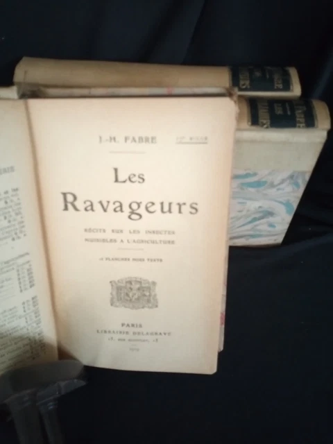 1919 - LES RAVAGEURS - Insectes nuisibles à l'Agriculture - JH FABRE ...