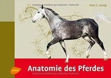 ANATOMIE DES PFERDES de Goody, Peter C. | Livre | état très bon EUR 39 ...