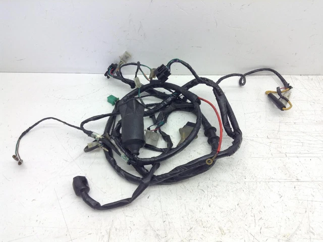 CÂBLES ÉCHEVEAU SYSTÈME Électrique Installation KYMCO AGILITY R16 150 2008 2009 EUR 27,42 ...