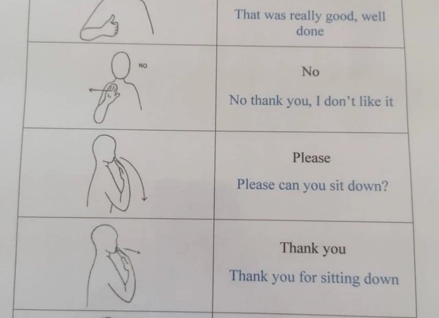 EYFS MAKATON SIGNS Poster, SEN, Staff Support, Fully Laminated A4 - 2 ...