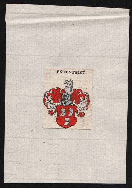 ESTENFELDT ESTENFELD WAPPEN coat of arms blason Heraldik Kupferstich 17 ...