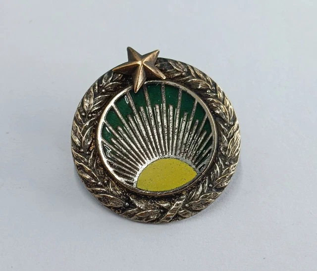 ANCIEN INSIGNE MILITAIRE ? a identifier Diets EUR 15,00 - PicClick FR