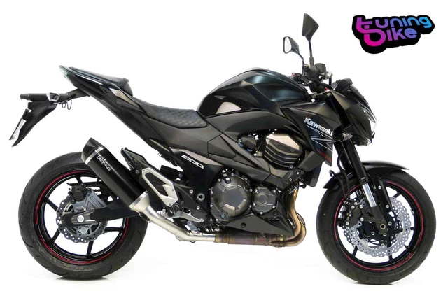 LEOVINCE EMBOUT D'ECHAPPEMENT Pour Kawasaki Z800 Annee 13 -16 EUR 379,70 - PicClick FR