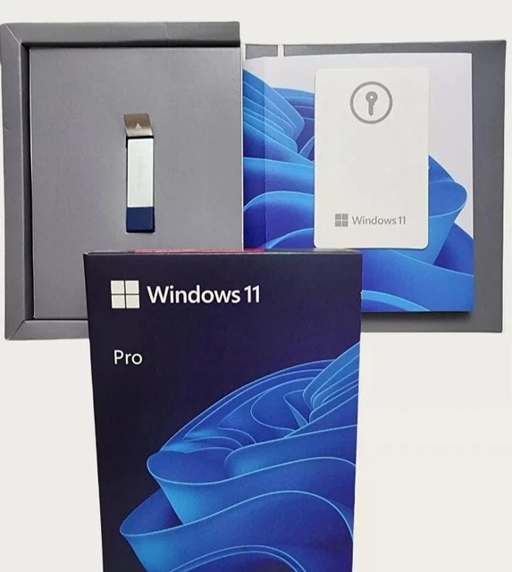 MICROSOFT WINDOWS 11 Professional 64-Bit - USB Drive - New Sealed ...