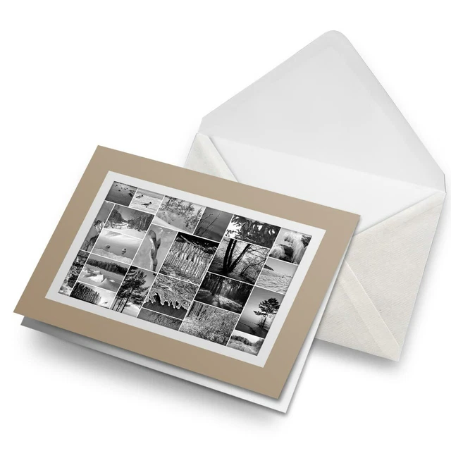 CARTE DE VŒUX (Biege) BW - Belles photos de paysage #39620 EUR 7,08 ...