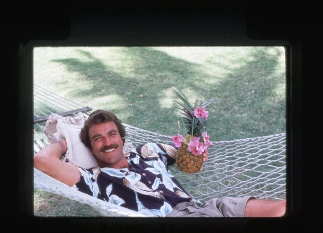 Tom Selleck Magnum Pi Sexy Bare Chested Close Up Original 35mm Transparency £2903 Picclick Uk