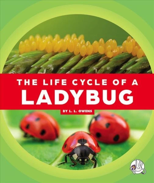 Ladybug Life Cycle Chart
