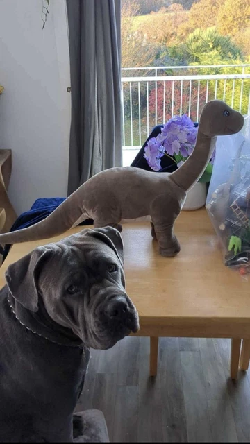 IKEA BRACHIOSAURUS JATTELIK Grey Dinosaur World 55cm Brontosaurus Soft ...