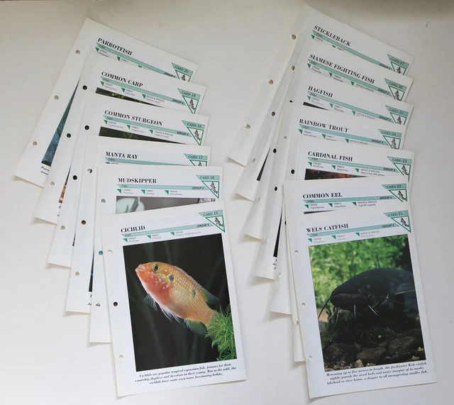WILDLIFE FACT-FILE FISH - Cards 15 to 27 £1.80 - PicClick UK