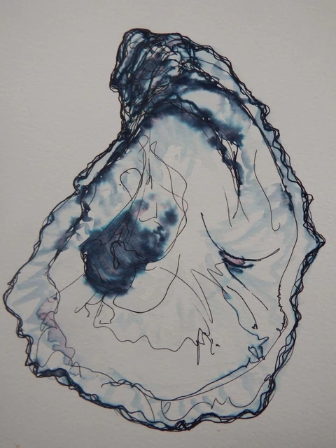 ORIGINAL PEN & ink water bleed drawing illustration of a sea oyster ...