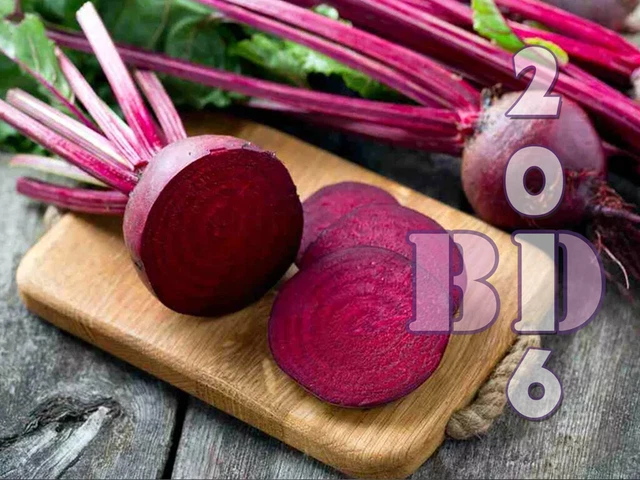 BETTERAVE DETROIT 300 graines ROUGE FONCÉ racine de jardin légume sain ...