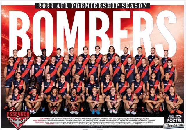 LAMINATED 2023 ESSENDON Bombers Team Poster,Afl Football Bulldogs Cats ...