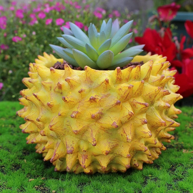 POT DE FLEUR Durian, petit Pot de jardinière moderne pour jardin ...